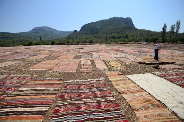 Halı tarlalarının görsel şöleni - Güncel Haberler Milliyet - Sayfa 10