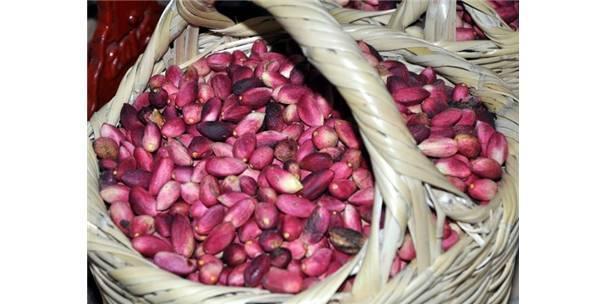 TAZE BEN FISTIK FİYATLARI EL YAKIYOR - Gaziantep Haberleri