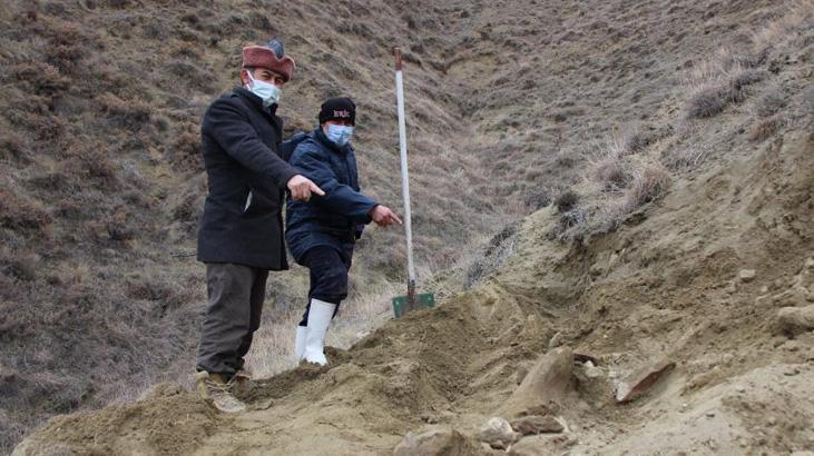Son dakika... Amasya'da köylüler tesadüfen buldu! Fil veya mamuta ait ...