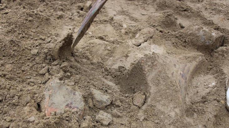 Son dakika... Amasya'da köylüler tesadüfen buldu! Fil veya mamuta ait ...