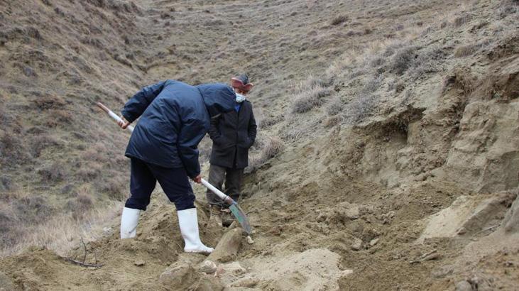 Son dakika... Amasya'da köylüler tesadüfen buldu! Fil veya mamuta ait ...
