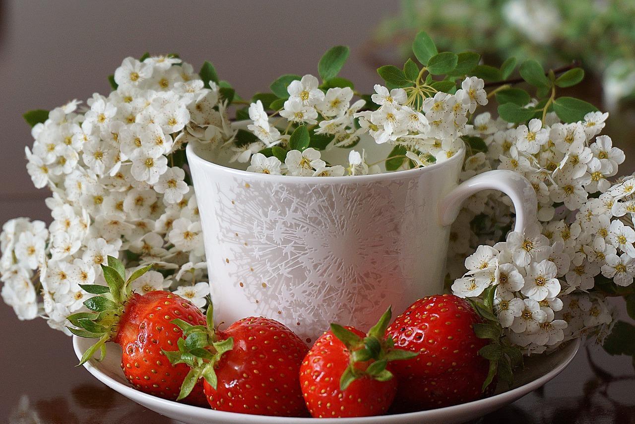 Gribe ne iyi gelir, nasıl geçer? Gribe evde doğal ve bitkisel çözüm ...