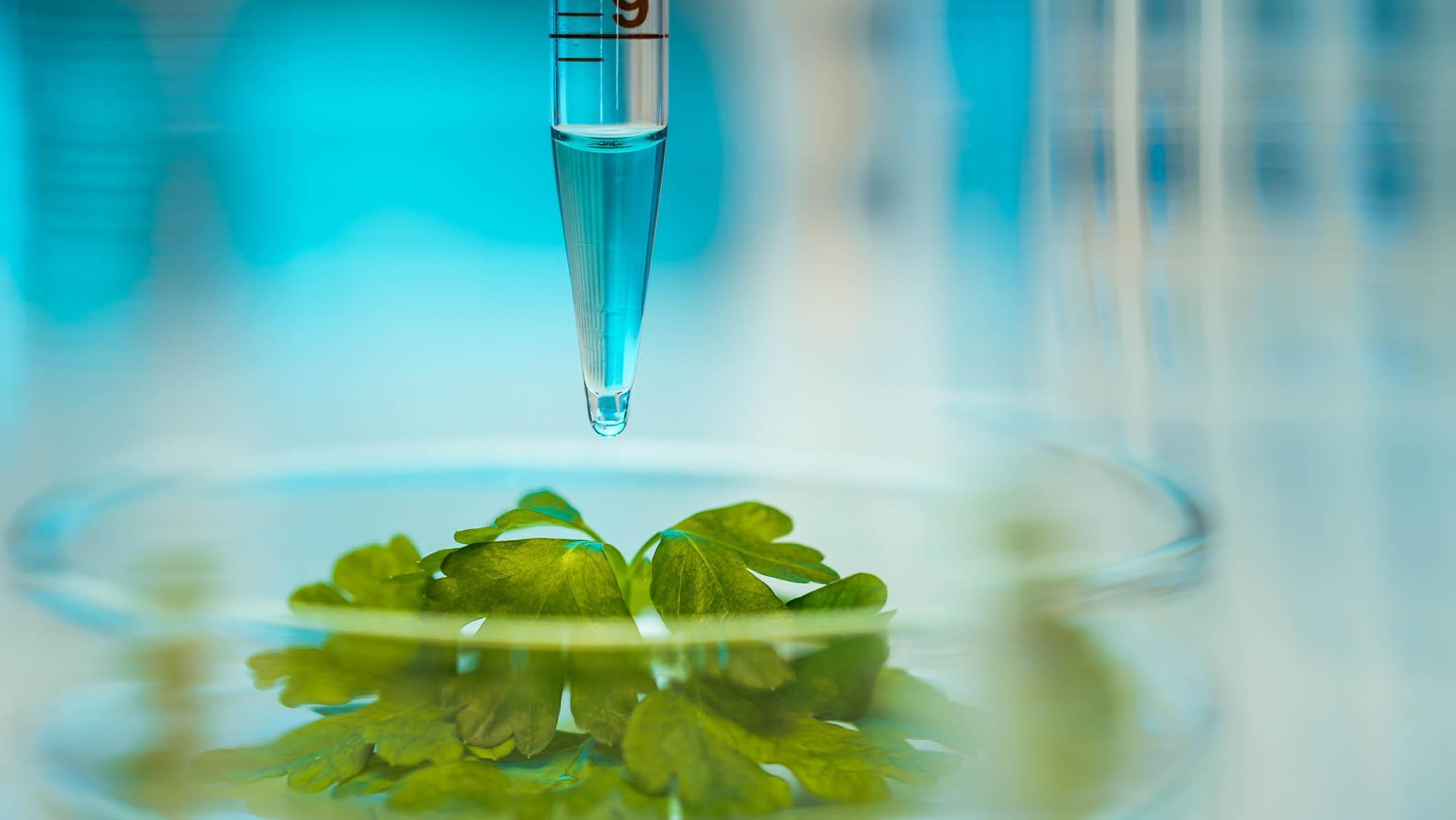 Gribe ne iyi gelir? Grip nasıl geçer? - Sağlıklı Beslenme