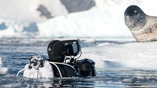 Fredi Devas: Antarktika'da sıcak günlerin sayısı artıyor - Molatik Ekran