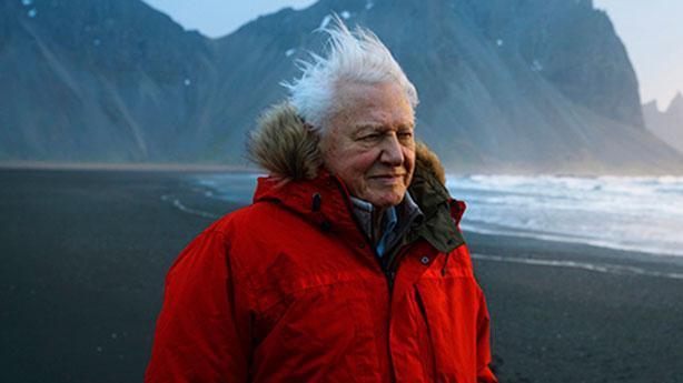 Fredi Devas: Antarktika'da sıcak günlerin sayısı artıyor - Molatik Ekran