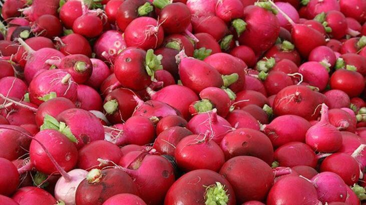 Turp hakkında ilginç bilgiler