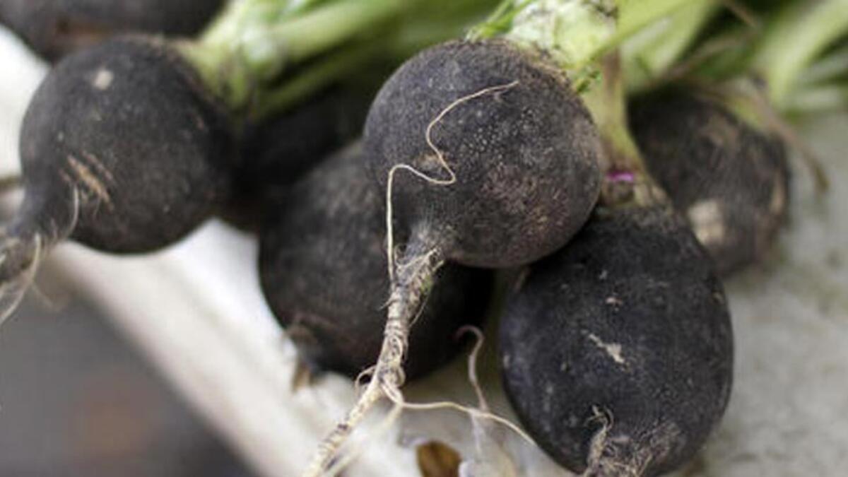 Turp hakkında ilginç bilgiler