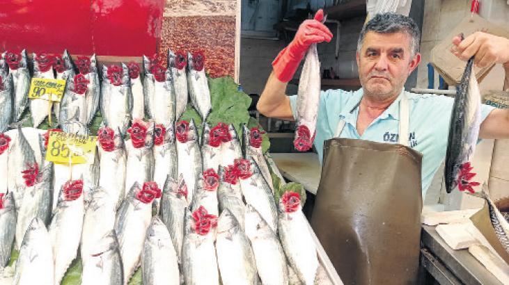 Palamut İstanbul’da 85 TL’den tezgâhta - Güncel Haberler Milliyet