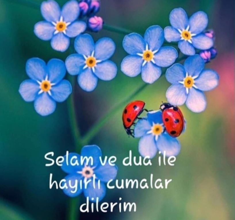 CUMA MESAJLARI RESİMLİ, EN GÜZEL, ANLAMLI: DUALI, HADİSLİ, AYETLİ, UZUN ...