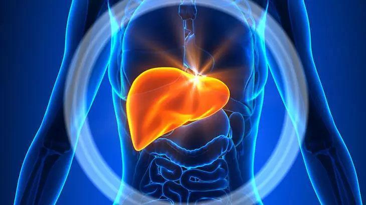 SİROZ NEDİR? Siroz belirtileri ve tedavisi nedir? İşte siroz hastalığı ...