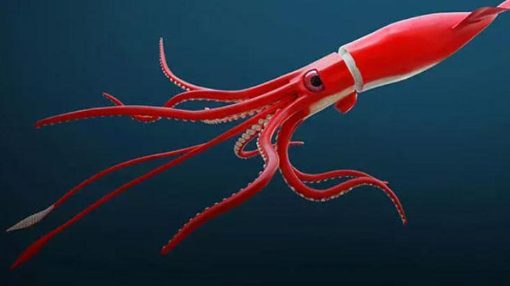 Dünyanın en büyüğü ve en uzunu onlar! Peki nerede yaşıyorlar? - Yaşam ...