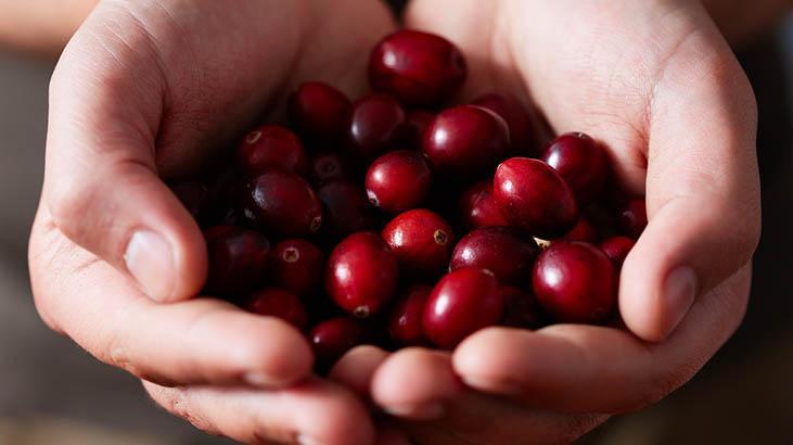 Etkisi antibiyotik gibi güçlü mucize meyve! Enfeksiyonu söküp atan ...