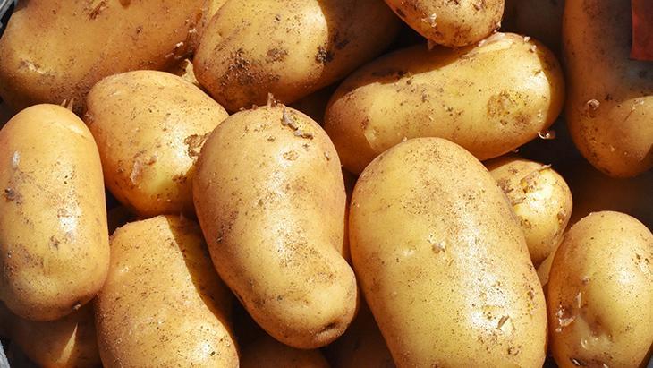 Listede ekmek yok! Doğru karbonhidratlar topraktan sofranıza geliyor ...