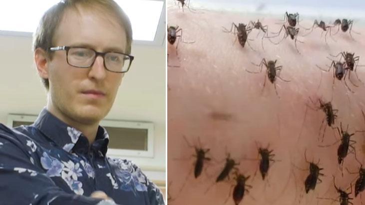 Kendini sivrisineklere yem ediyor! 15 bin ısırığı bile buldu: 'Büyük ...