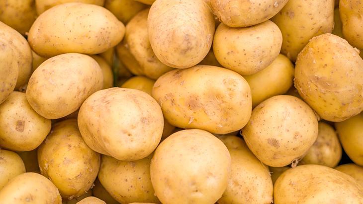 Virüs, bakteri, parazitler neden oluyor! Mide üşütmesine ne iyi gelir ...