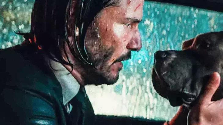 John Wick 1 ne zaman çekildi ve kaç seriden oluşuyor? John Wick konusu ...