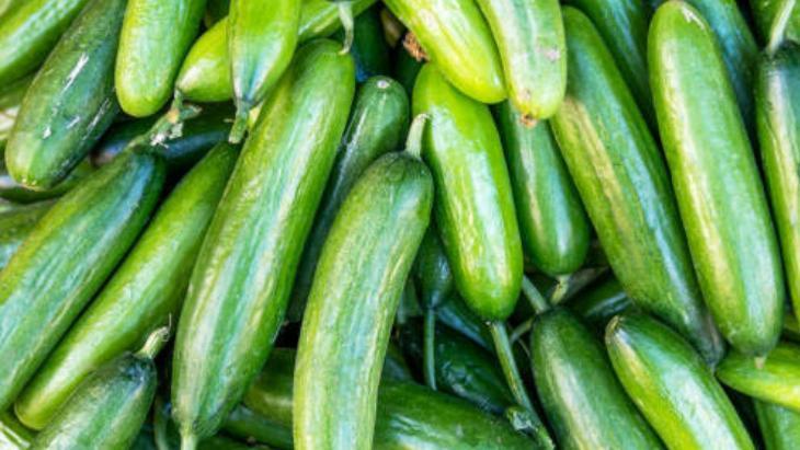 Domatesin yanına ekmezseniz coşuyor! Öylece bırakın, sonucu görün - Püf ...
