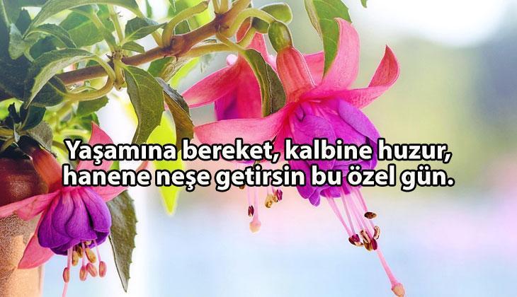 HIDIRELLEZ MESAJLARI 2025 🌹 Anlamlı, içten, umut dolu, farklı, kısa ...