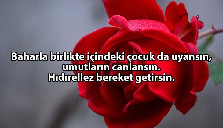 HIDIRELLEZ MESAJLARI 2025 🌹 Anlamlı, içten, umut dolu, farklı, kısa ...