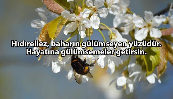 HIDIRELLEZ MESAJLARI 2025 🌹 Anlamlı, içten, umut dolu, farklı, kısa ...