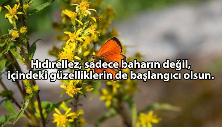 HIDIRELLEZ MESAJLARI 2025 🌹 Anlamlı, içten, umut dolu, farklı, kısa ...