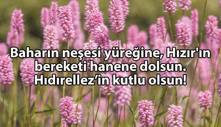 HIDIRELLEZ MESAJLARI 2025 🌹 Anlamlı, içten, umut dolu, farklı, kısa ...
