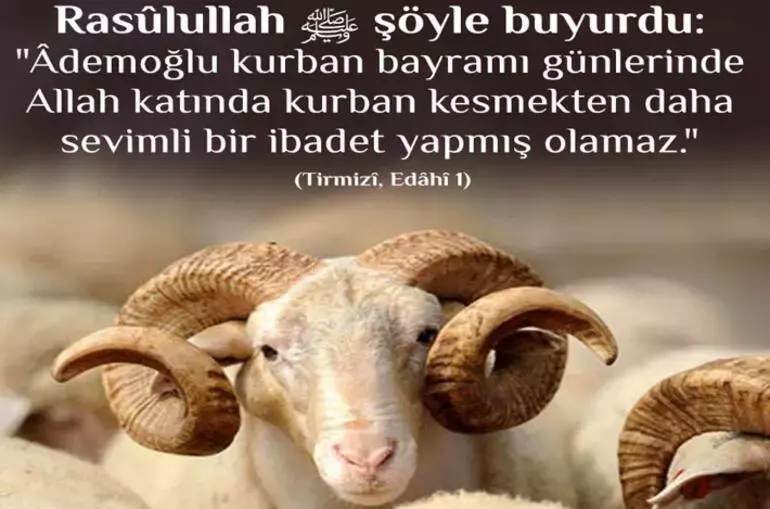 EN ANLAMLI BAYRAM MESAJLARI İLE İYİ BAYRAMLAR DİLEYİN | En güzel, kısa ...