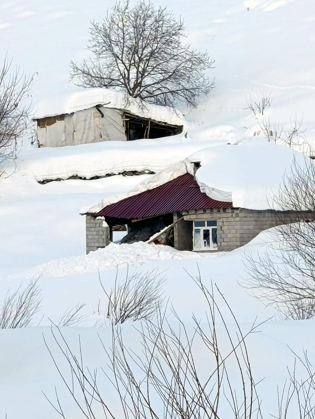 Hakkari’de çığ düştü: 8 boş ev ve 2 ahır zarar gördü, 120 küçükbaş öldü ...