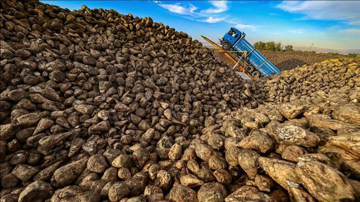 Türkiye'de üretilen şeker miktarı 3 milyon tonu bulacak - Son Haberler ...