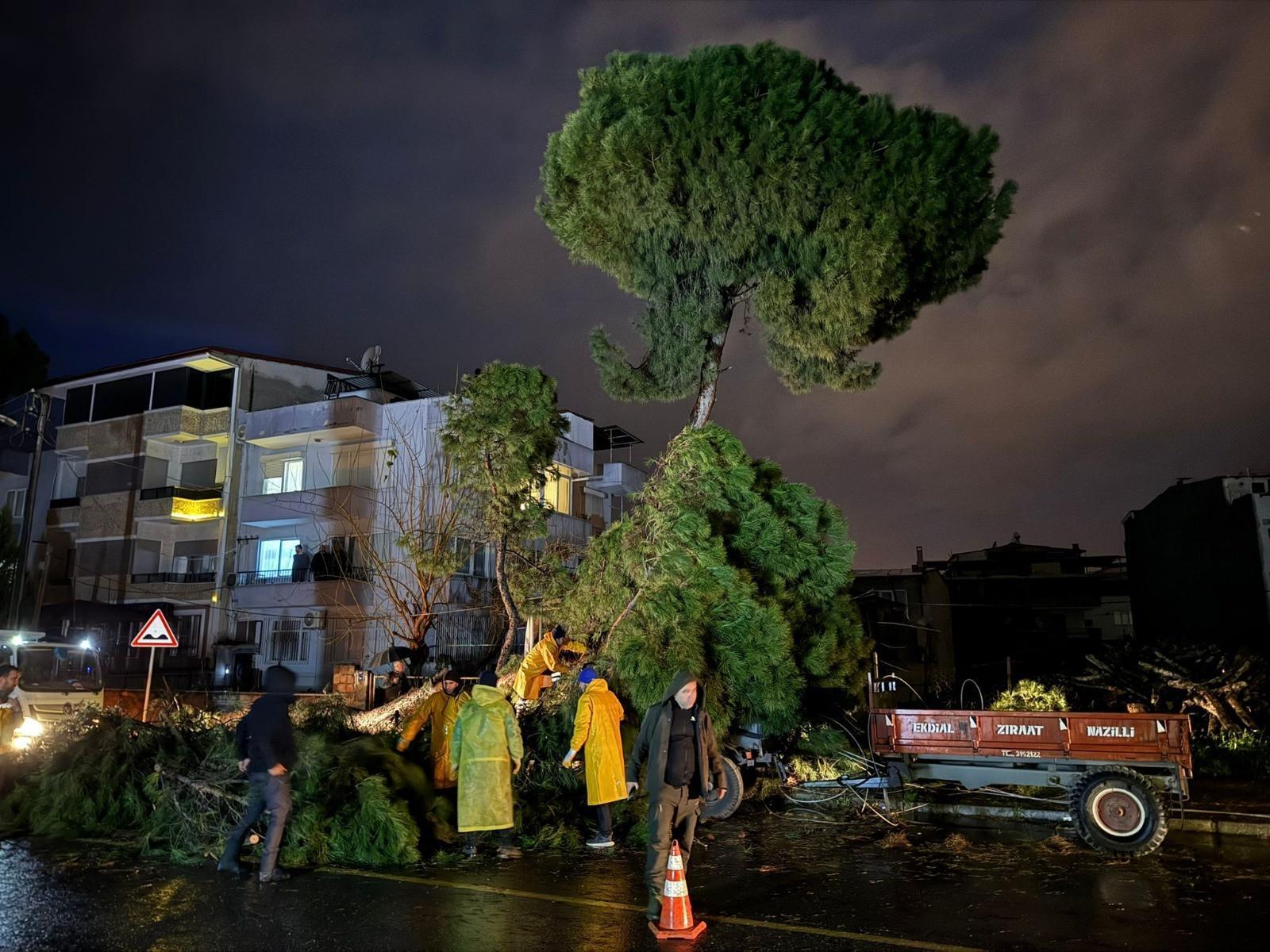 Fırtınada devrilen ağaç, elektrik tellerini kopardı - Aydın Nazilli ...