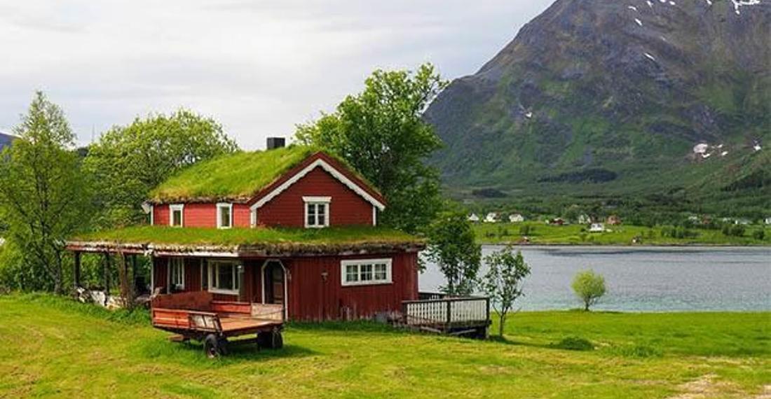 Norveçliler haksız: Zaman bizi hayatta tutuyor - Molatik Dünya