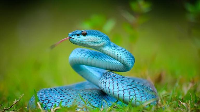 Brezilya hakkında bilmeniz gerekenler - Molatik Dünya