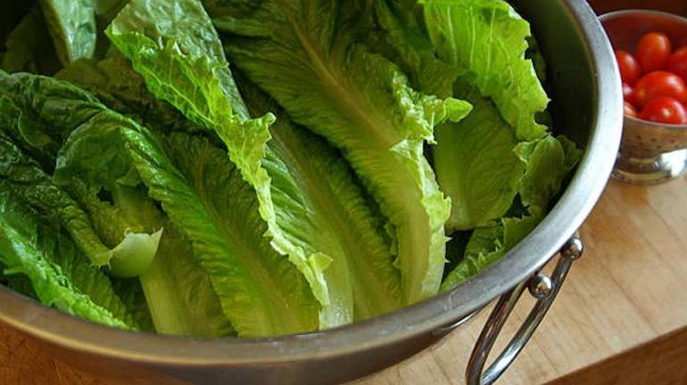 Marulu böyle muhafaza edince solmuyor! İşte marulu canlı tutan taktik