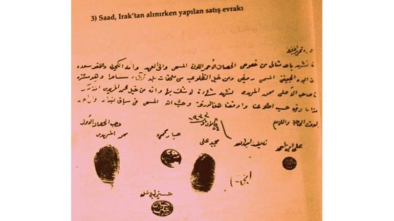 Atatürk'ün 'Bulun' emri verdiği safkan! Kömür madeninde bulundu, soyu ...