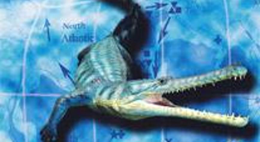 62 milyon yıllık timsah fosili - Yaşam Haberleri