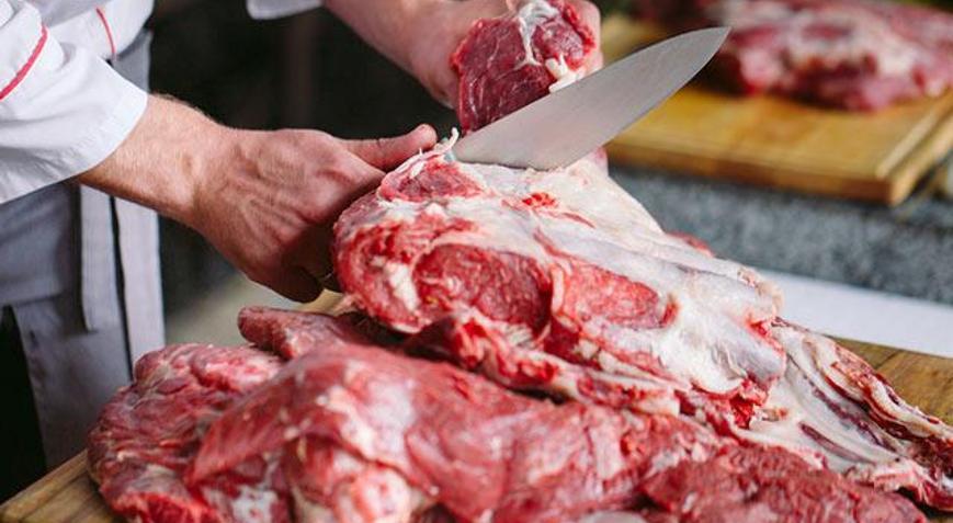 Brusella belirtileri - Brusella nedir, Bruselloz nedir, Bruselloz ...