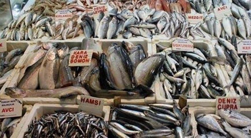 Fish do not make happy