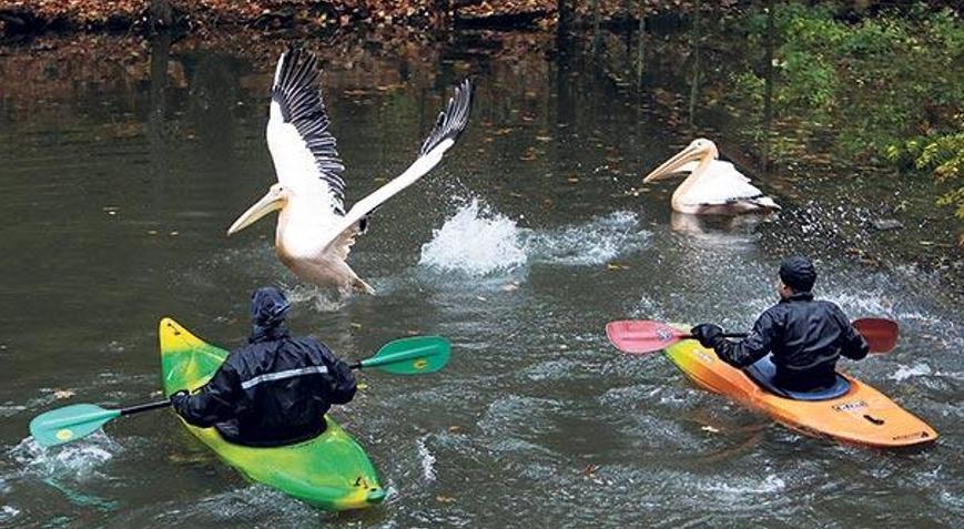 Yakala yakalayabilirsen! - Haberler Milliyet