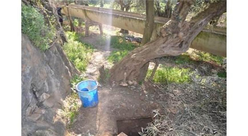 Define Avcıları Fark Edilmemek İçin Yapraktan Elbise Giyerek Kazı Yaptı ...