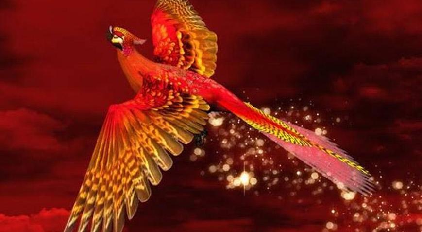 Zümrüdüanka ne demek? Zümrüdüanka Kuşu efsanesi neyi anlatıyor? - Son ...