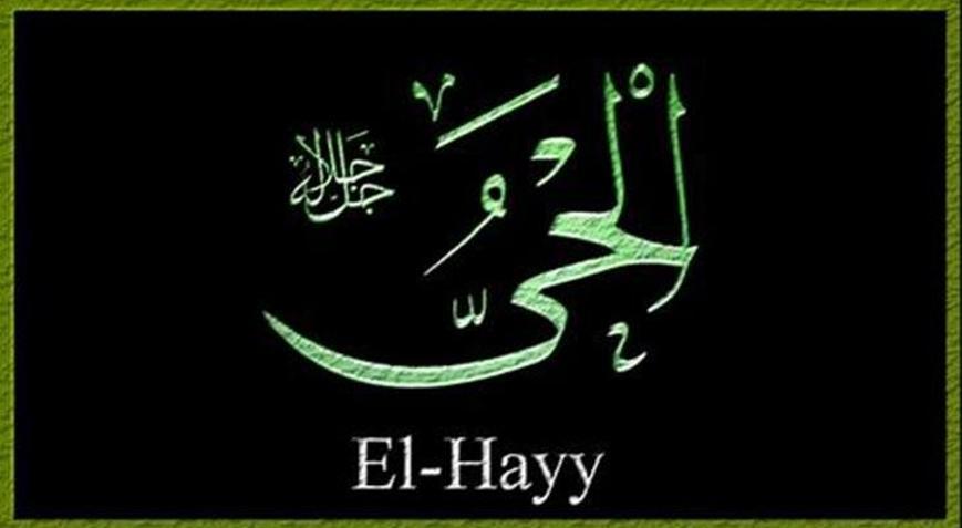 El-Hayy Ne Demek? El-Hayy Fazileti Ve Anlamı