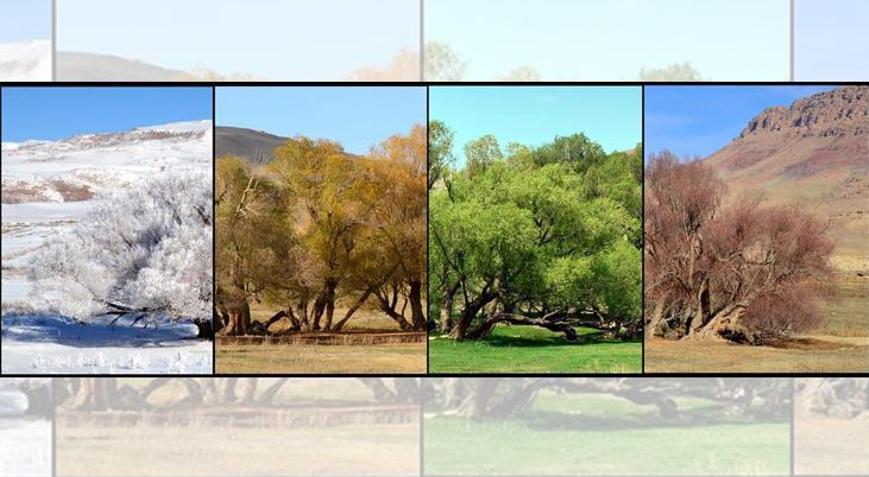 Mevsimler Nasıl Oluşur? Kısaca Mevsimlerin Oluşumu - Son Dakika ...