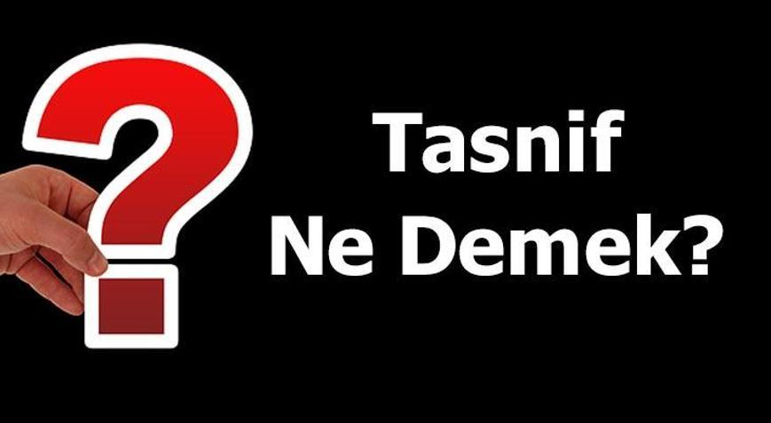 Tasnif Ne Demek? Tdk'da Tasnif Etmek Ve Tasnifleme Kelimelerinin Anlamı ...