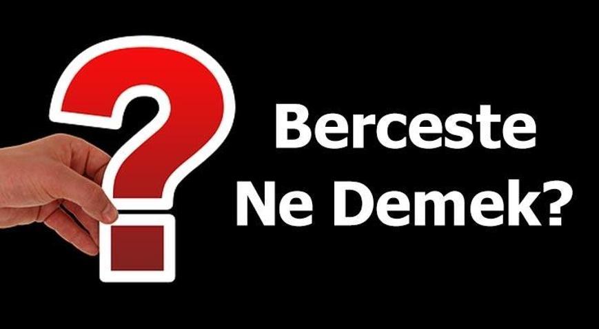Berceste Ne Demek? Tdk'ya Göre Berceste Kelimesinin Anlamı Nedir? - En ...