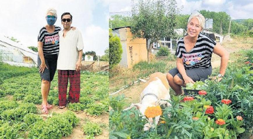 ‘Bostan Baba’da hasat zamanı - Magazin Haberleri - Milliyet