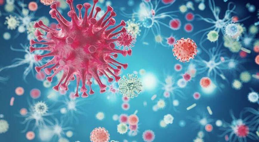 Bubonik veba nedir, hıyarcıklı veba belirtileri neler? Bubonik veba ...