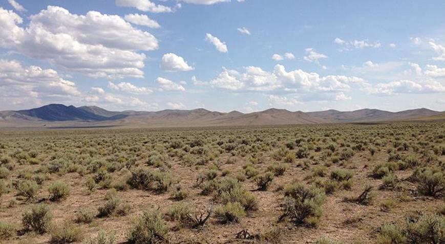 Step İklimi Nedir, Nerelerde Görülür? Step İkliminin Özellikleri ...