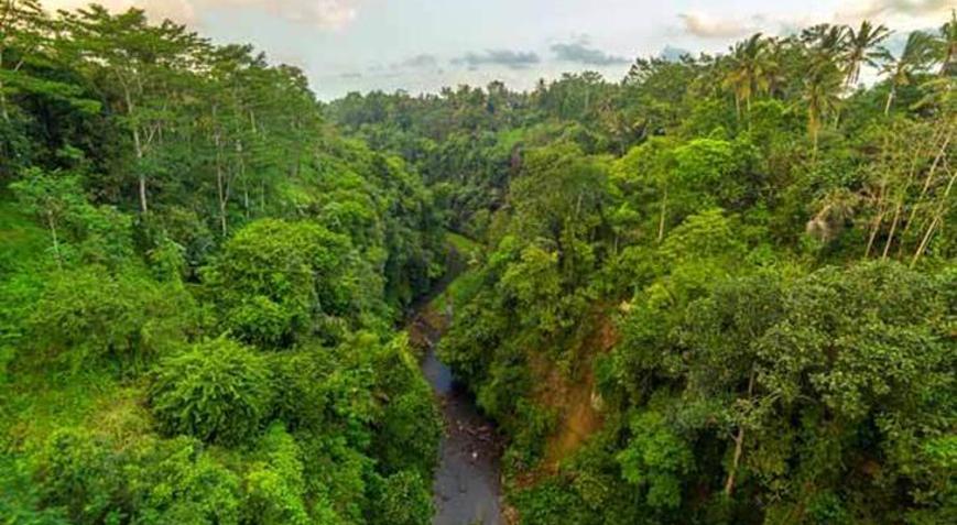Ekvatoral İklim Nedir, Nerelerde Görülür? Ekvatoral İkliminin ...