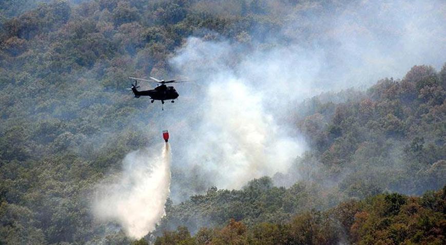 Bulgaristan sınırındaki orman yangını etkisini kaybediyor - Son Dakika ...