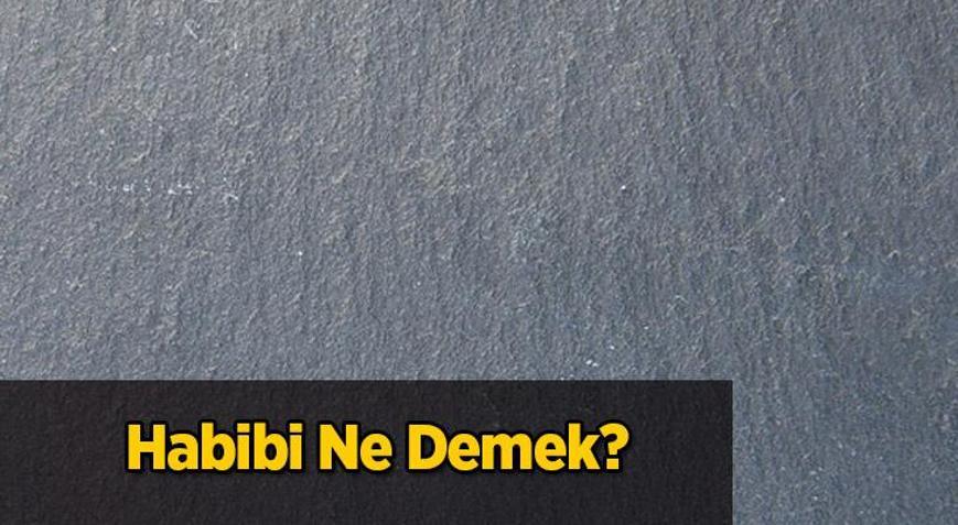 Habibi Ne Demek? Arapça Ya Habibi Ve El Habibi Kelimeleri Ne Anlama ...